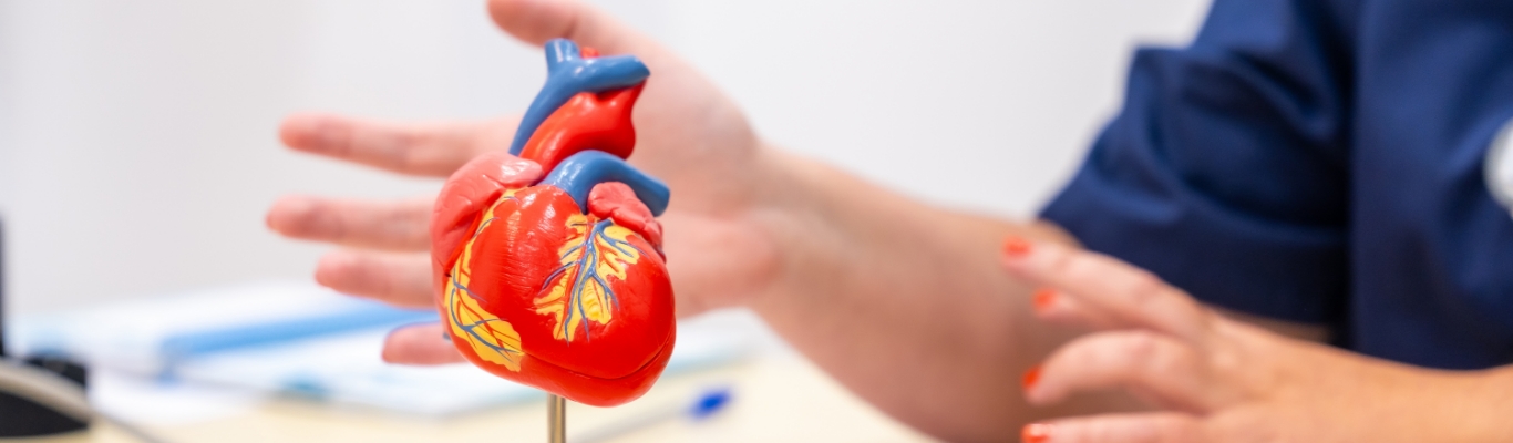 Pulmonary Vein Isolation | Pensinsula Cardiology Group